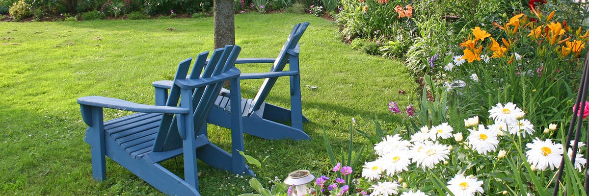 Comparison Chart: Most Popular Lawn Seeds | American Meadows