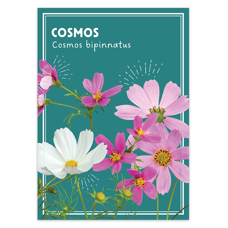 Cosmos Seed Packet, Seed Favors | American Meadows